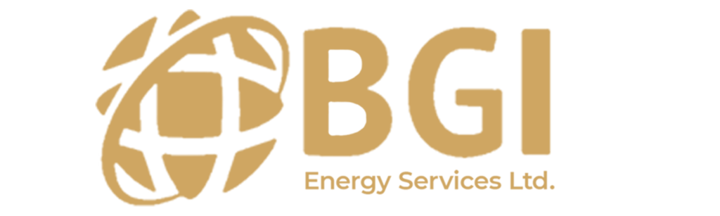 BGI Energy Services – We Deliver Value…